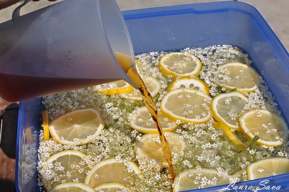Socata | Retete culinare cu Laura Sava - Cele mai bune retete pentru ...