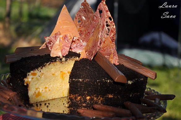 Tort Foc de tabara | Retete culinare cu Laura Sava - Cele mai bune ...