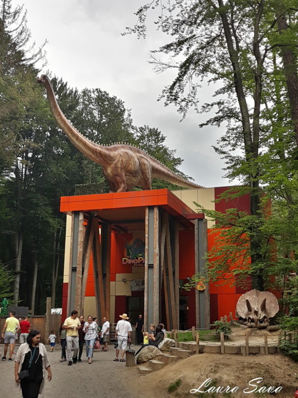 Dino Parc, Rasnov | Retete culinare cu Laura Sava - Cele mai bune ...